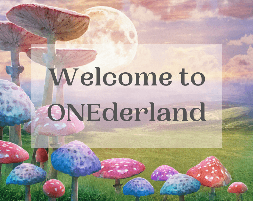 The Ever Pursued ONEderland – What It Is And How To Get There